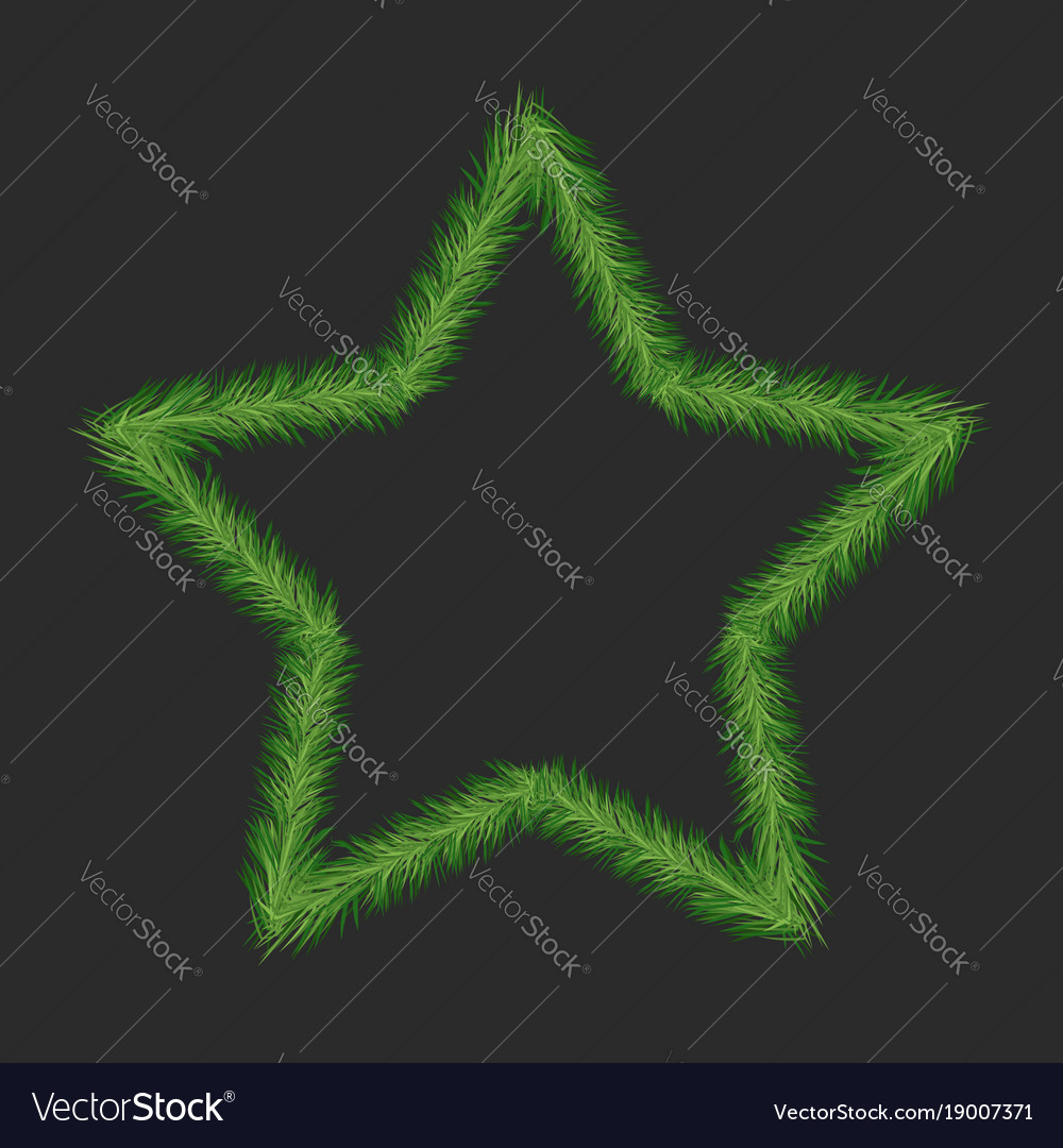 Pine tree star Royalty Free Vector Image - VectorStock