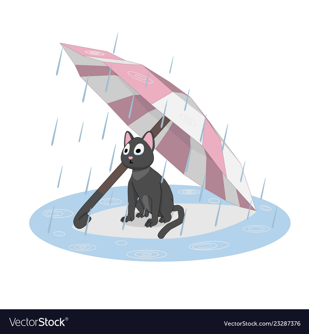 Cat under an umbrella rain Royalty Free Vector Image