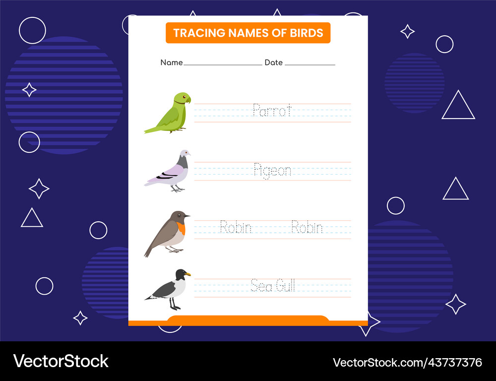Trace the names of birds handwriting practice Vector Image