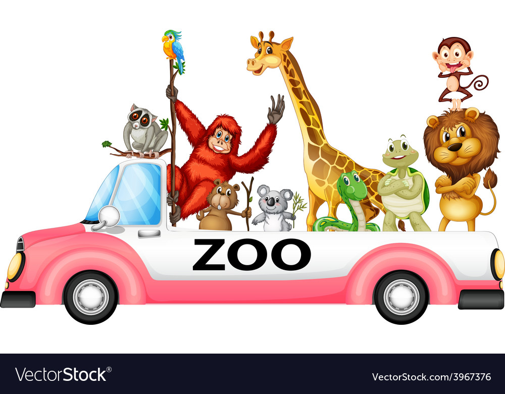 Zoo Royalty Free Vector Image - VectorStock