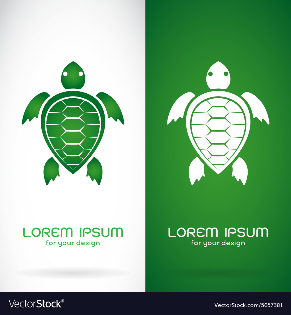 Turtle Royalty Free Vector Image - VectorStock
