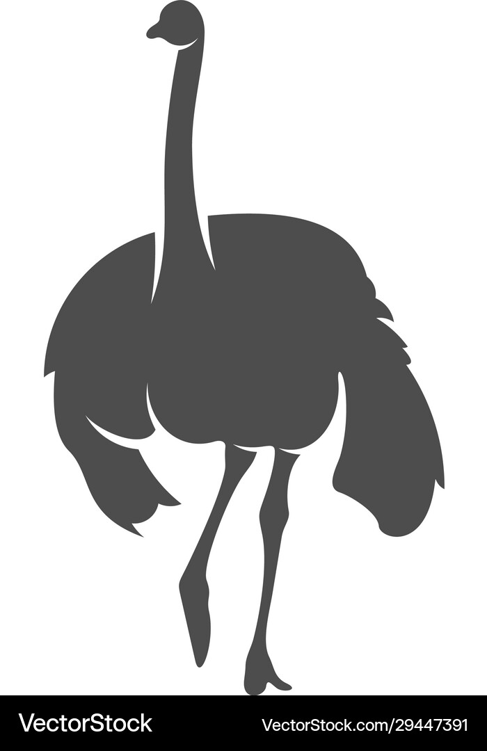 Ostrich logo animal graphic design Royalty Free Vector Image