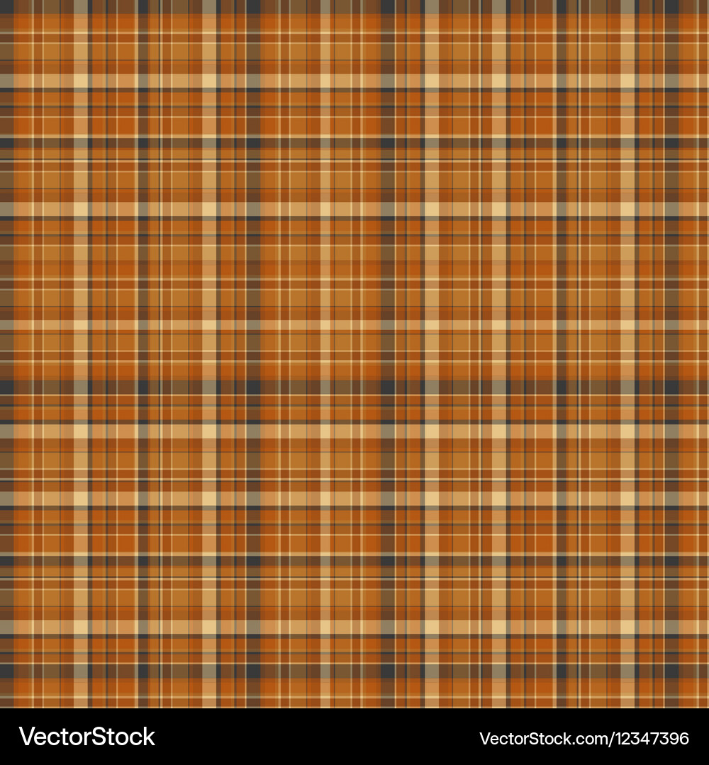 Checkered fabric tartan textile vintage Royalty Free Vector