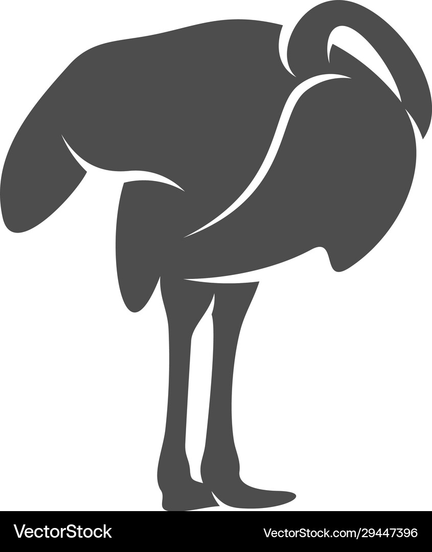 Ostrich logo animal graphic design Royalty Free Vector Image