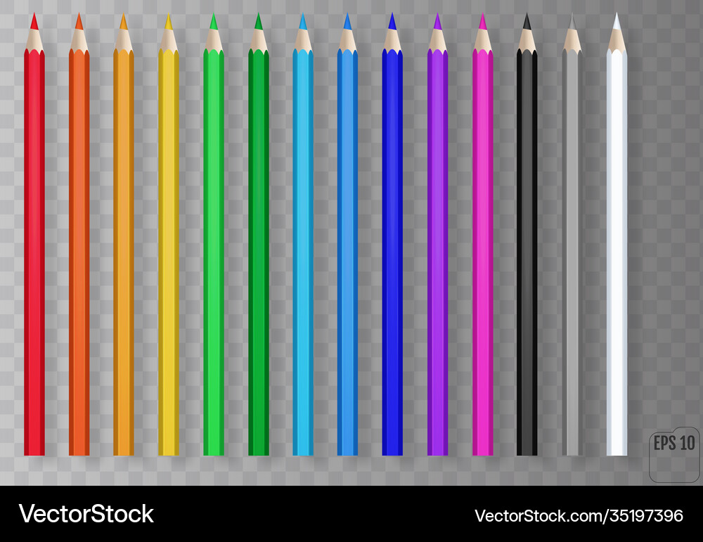 Realistic color pencils on transparent background Vector Image