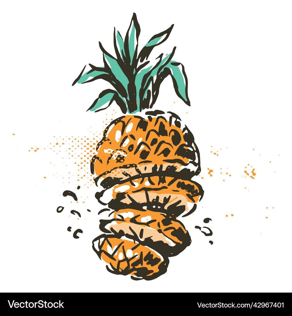 Cut pineapple fruit Royalty Free Vector Image - VectorStock