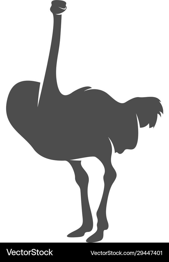 Ostrich logo animal graphic design Royalty Free Vector Image