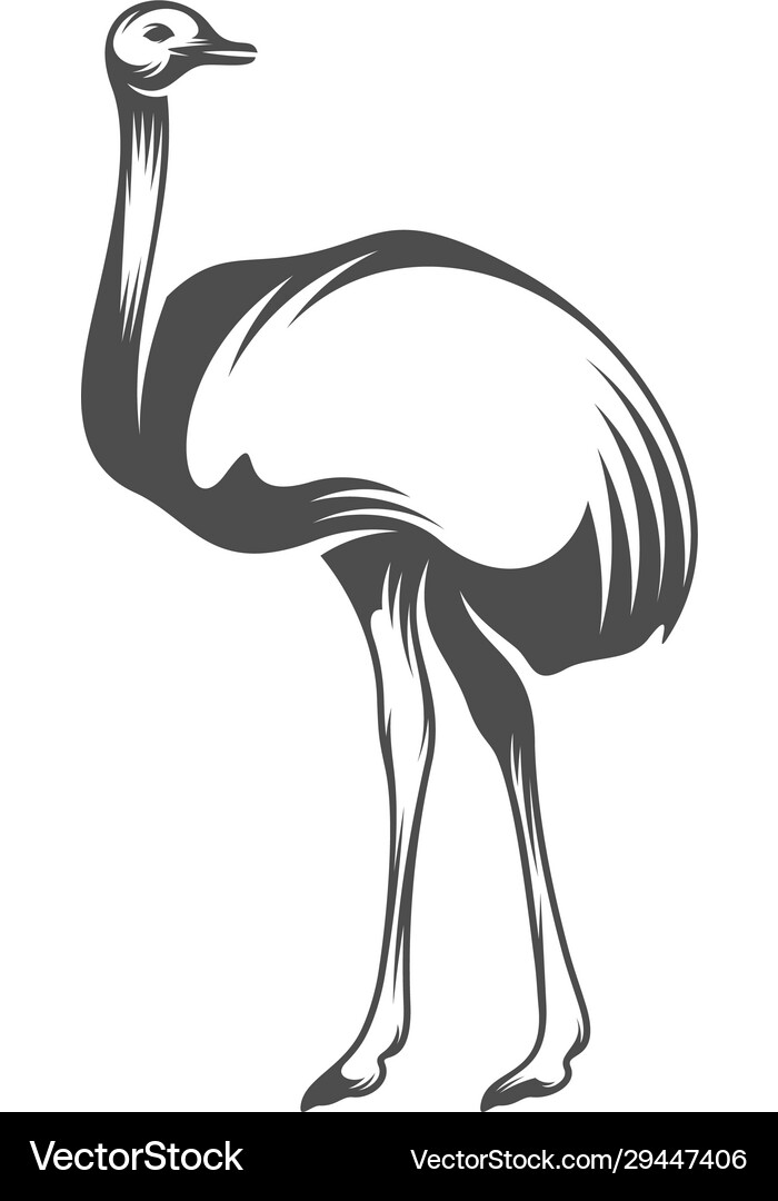 Ostrich logo animal graphic design Royalty Free Vector Image