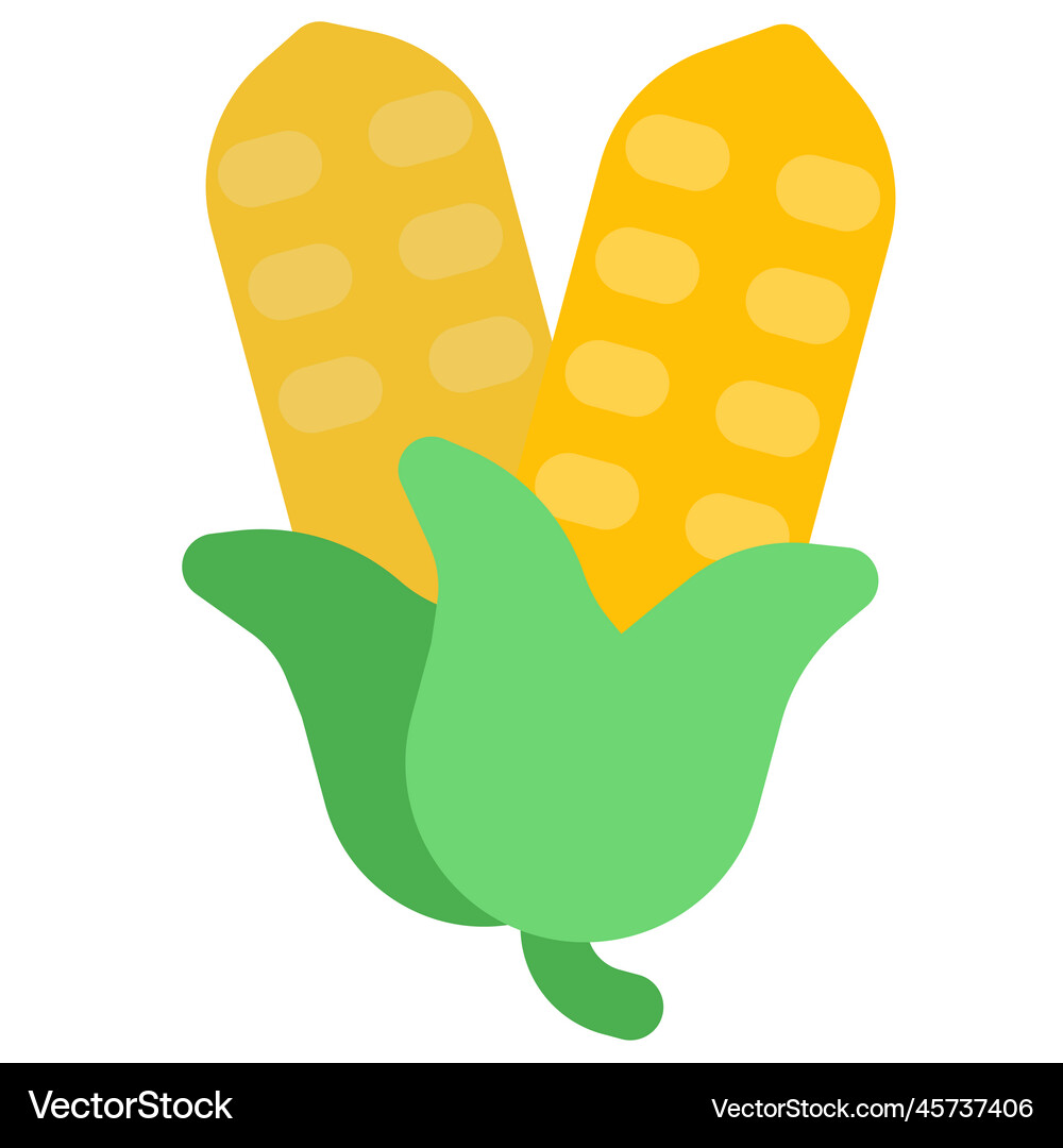 Pair of delicious sweet corn Royalty Free Vector Image