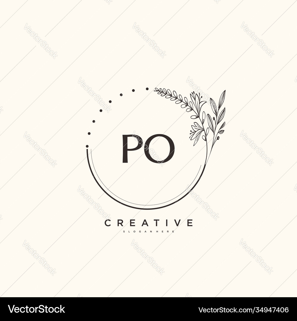 Po beauty initial logo art handwriting logo Vector Image