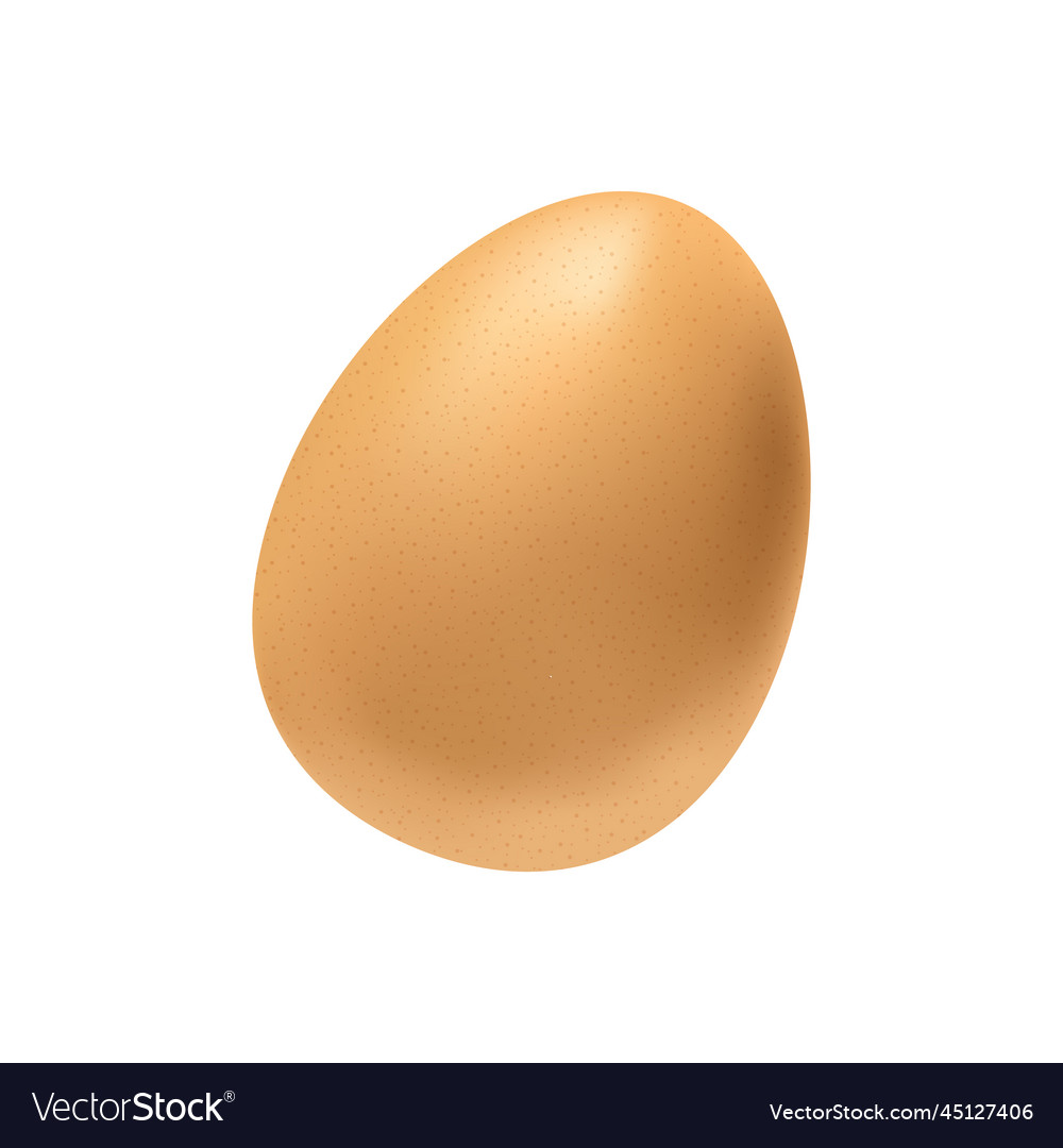 Realistic egg lifecycle composition Royalty Free Vector