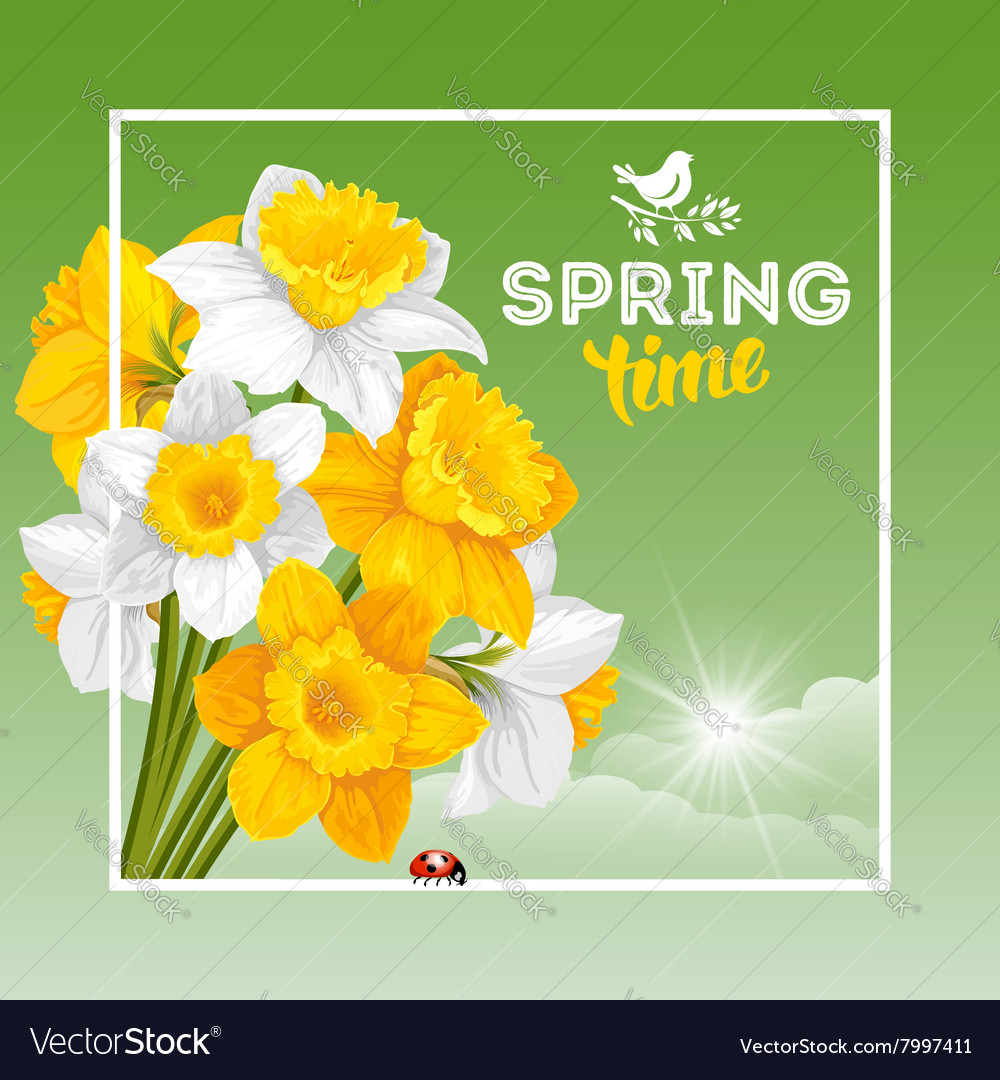 Spring time Royalty Free Vector Image - VectorStock