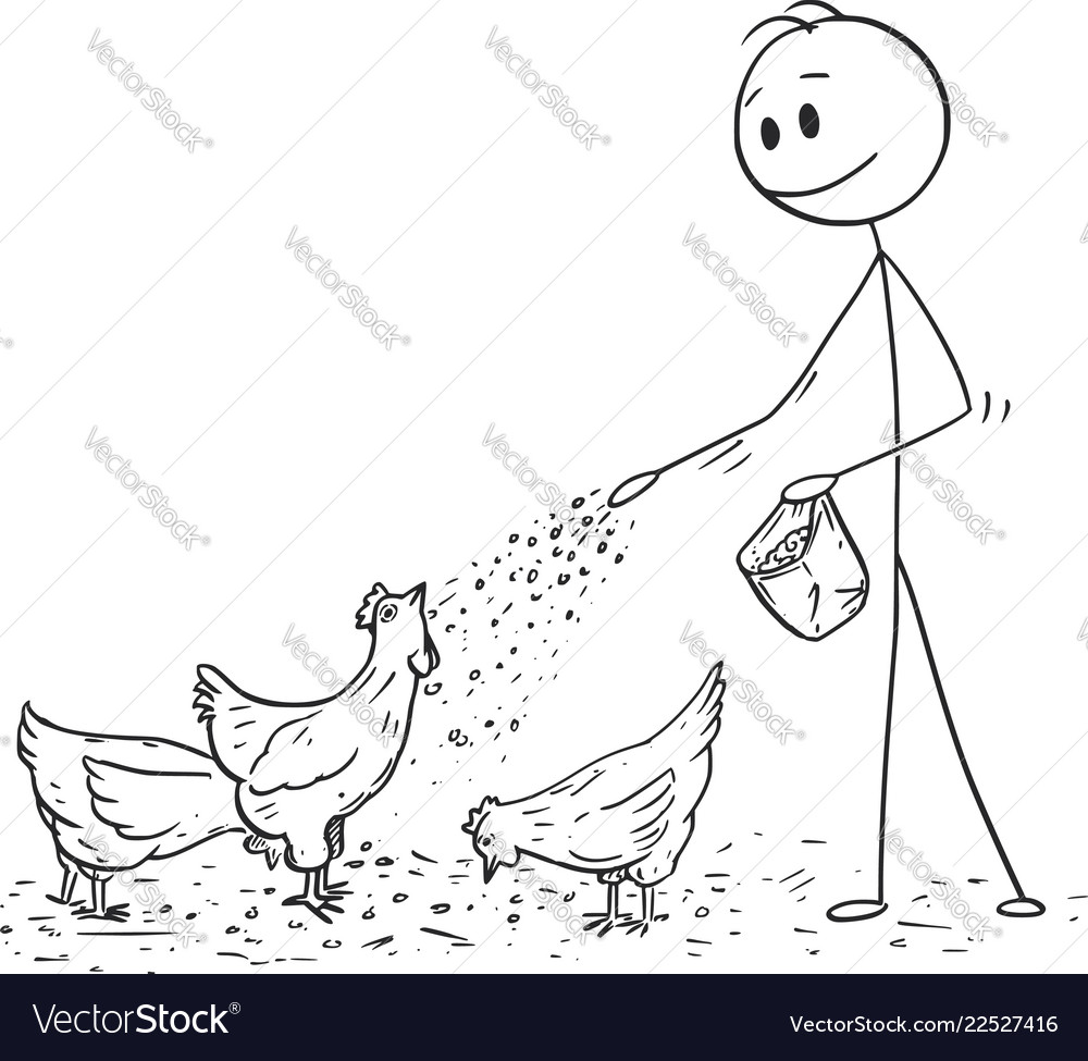 Farmer Feeding Chickens