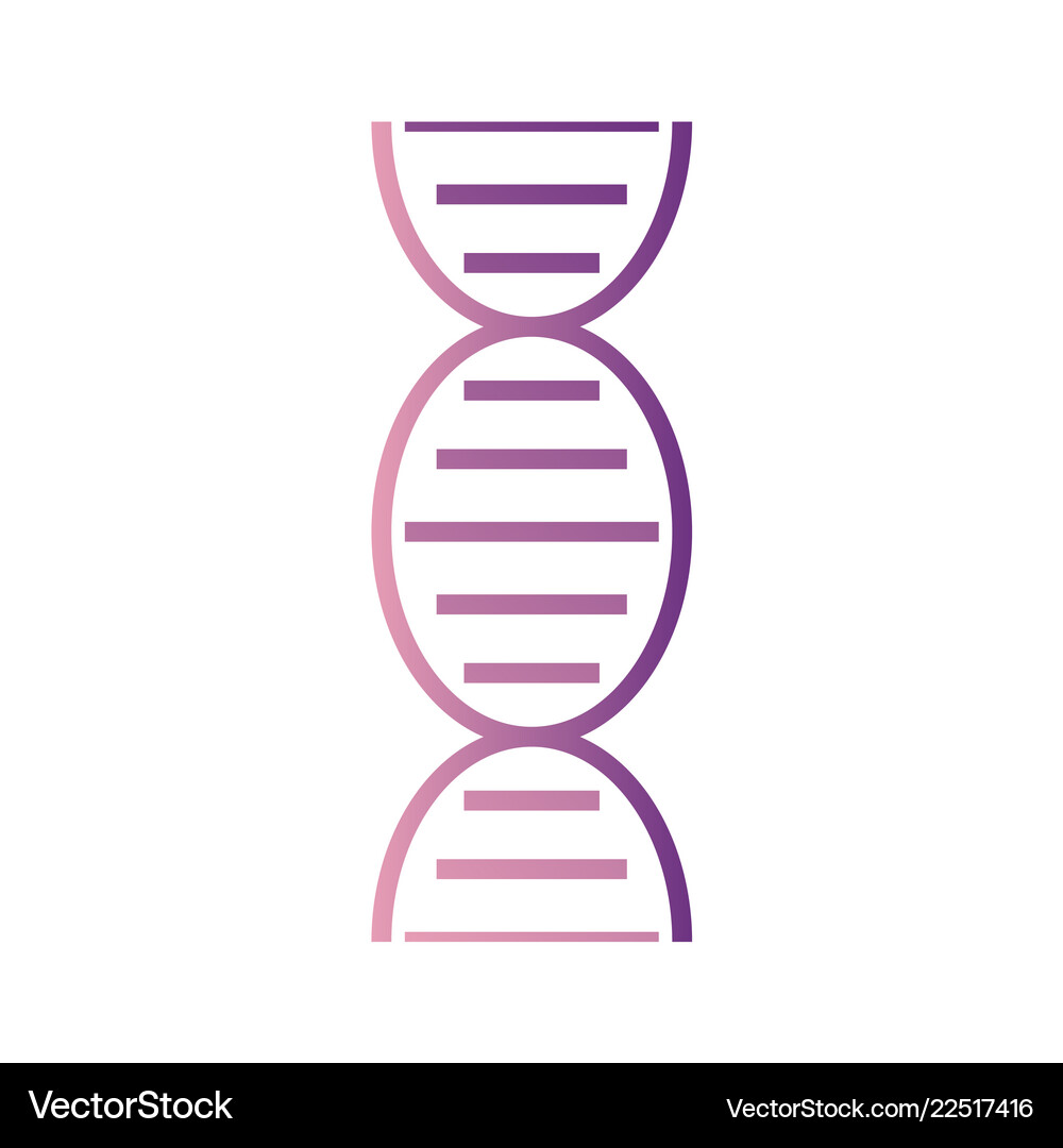 Dna genetic sign elements and icons collection Vector Image
