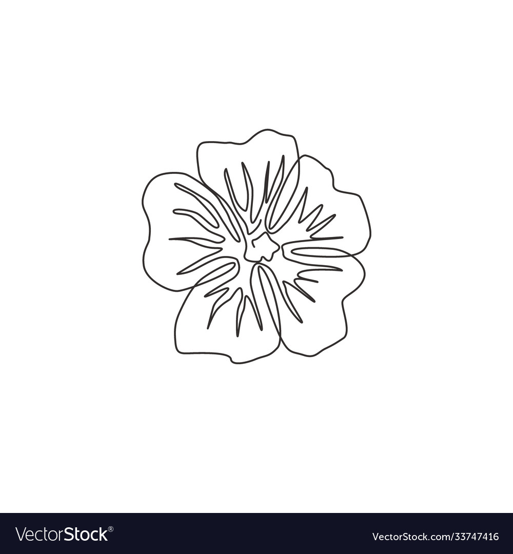 Single One Line Drawing Beauty Fresh Purple Vector Image