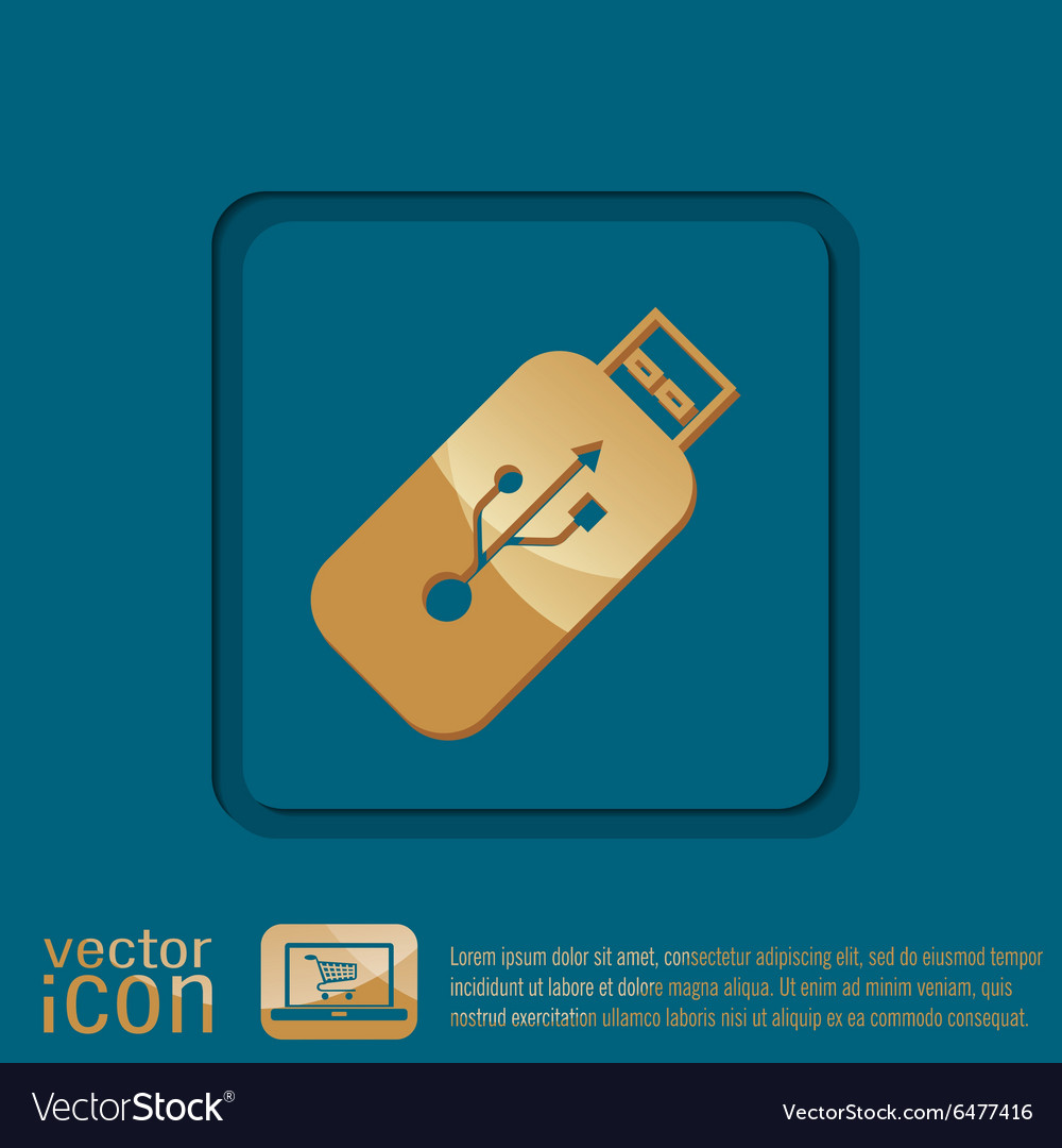 Usb flash icon disk Royalty Free Vector Image - VectorStock