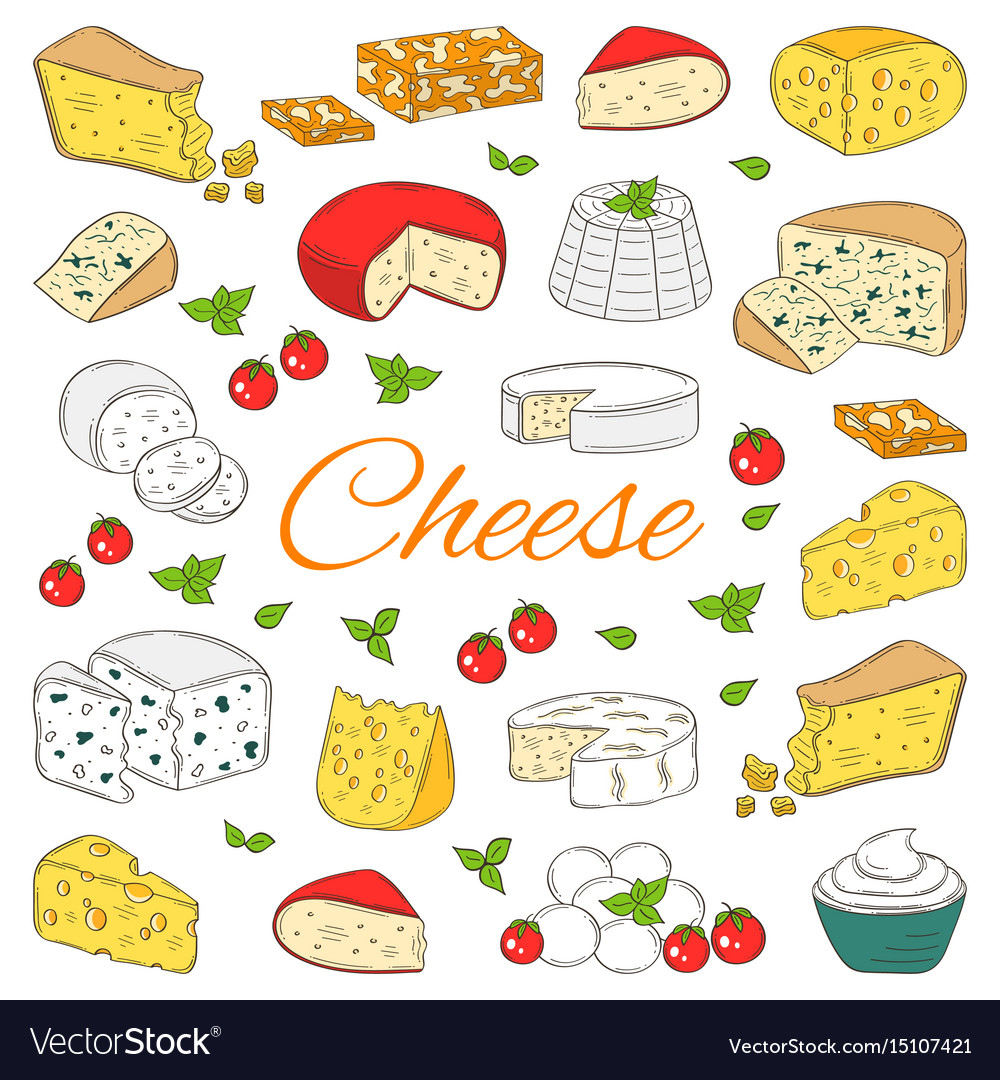 Assorted Cheese Collection Royalty Free Vector Image