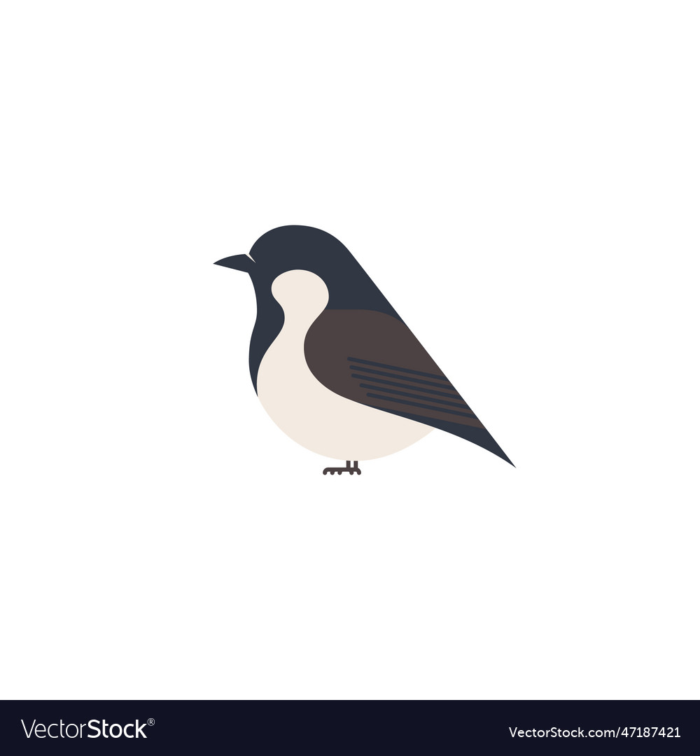 Sparrow bird Royalty Free Vector Image - VectorStock