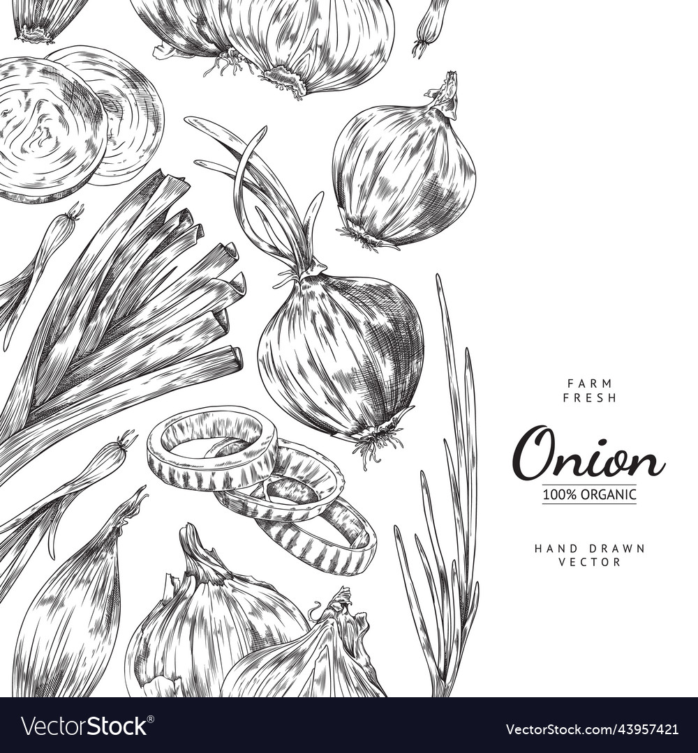 Vertical seamless border with hand drawn different