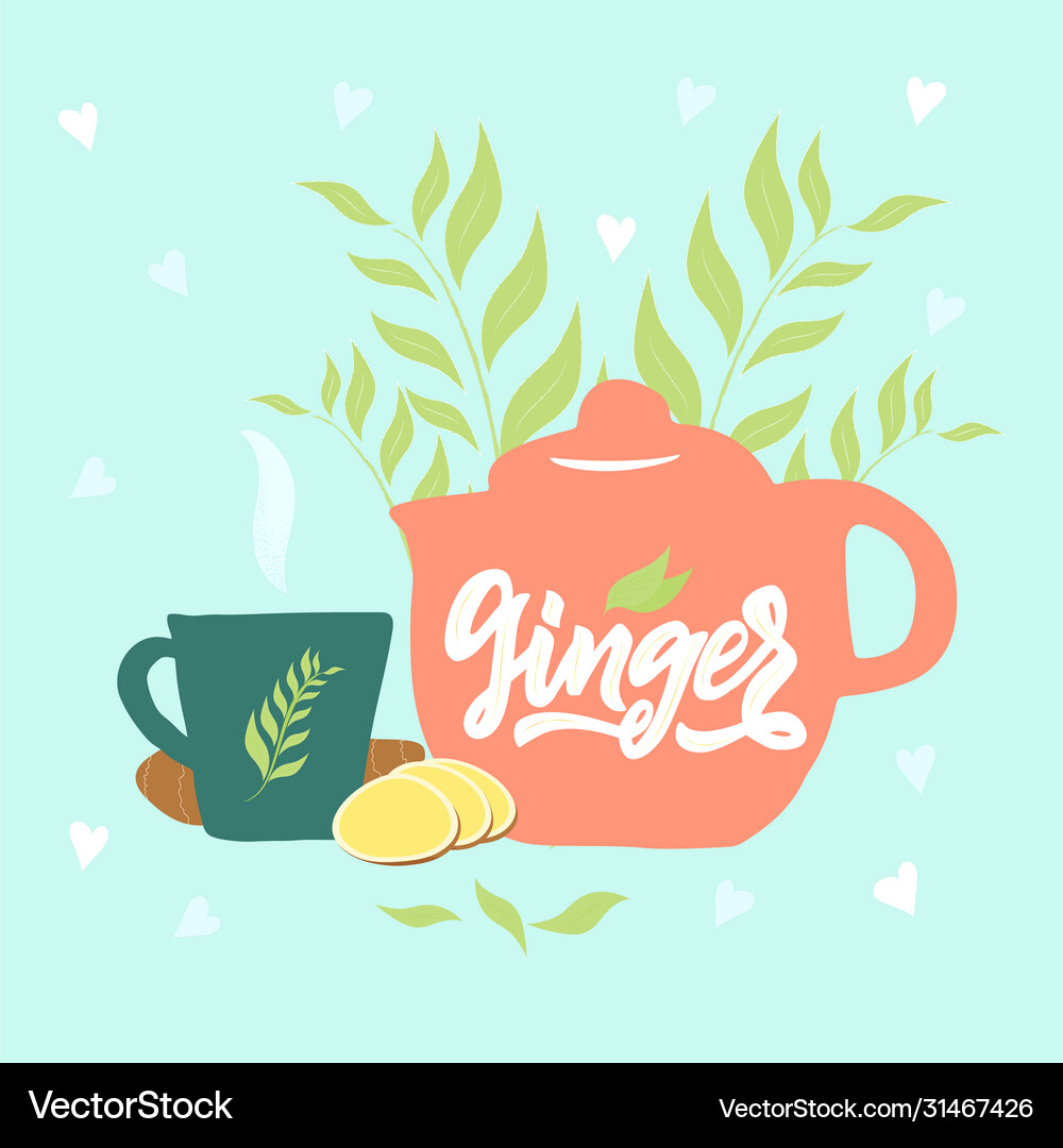 Hand draw teapot cup text ginger tea vapor leaves Vector Image