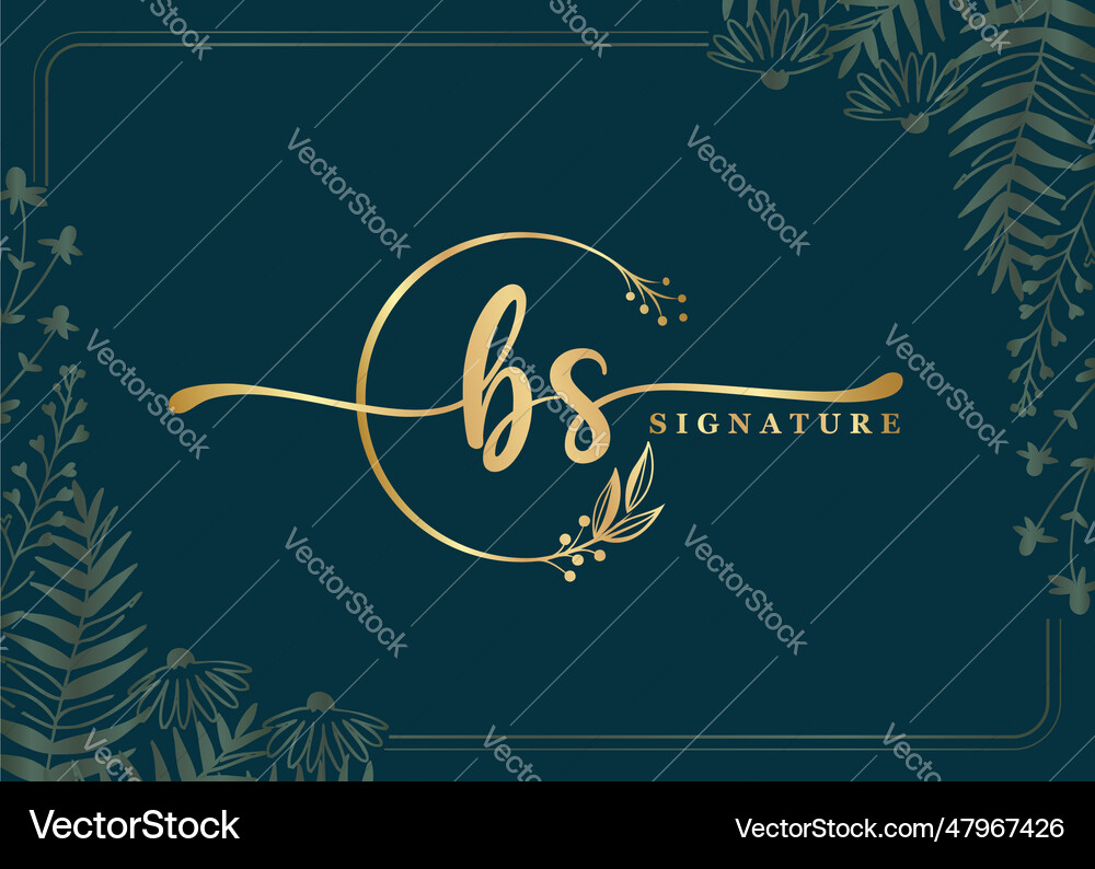 Luxury signature initial bs logo design isolated Vector Image