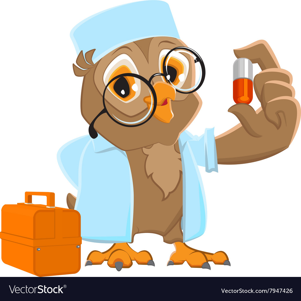 Owl Doctor Holding Pill Owl Ambulance In White Vector Image
