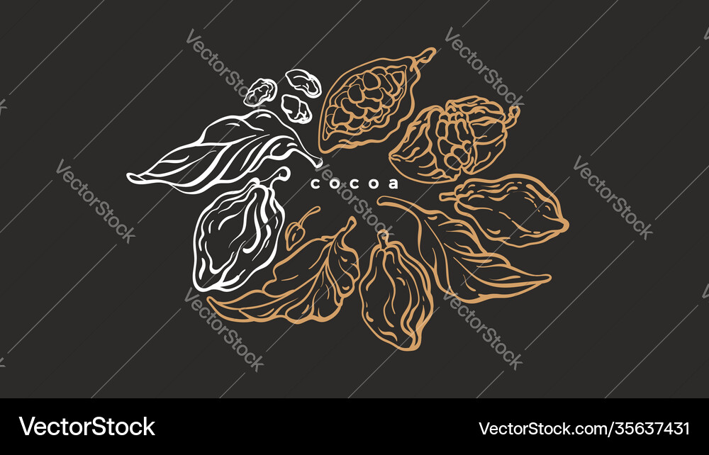 Cocoa circle symbol graphic bio card Royalty Free Vector