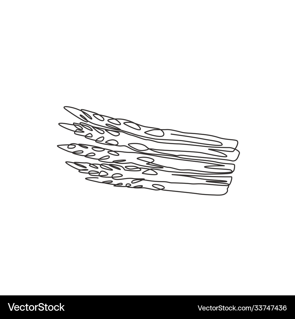 One single line drawing whole healthy organic Vector Image
