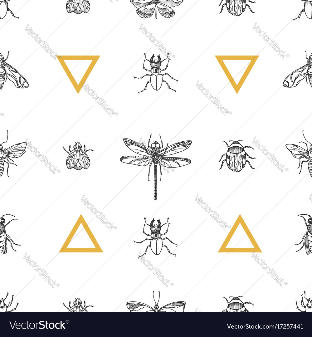 Pattern insects Royalty Free Vector Image - VectorStock