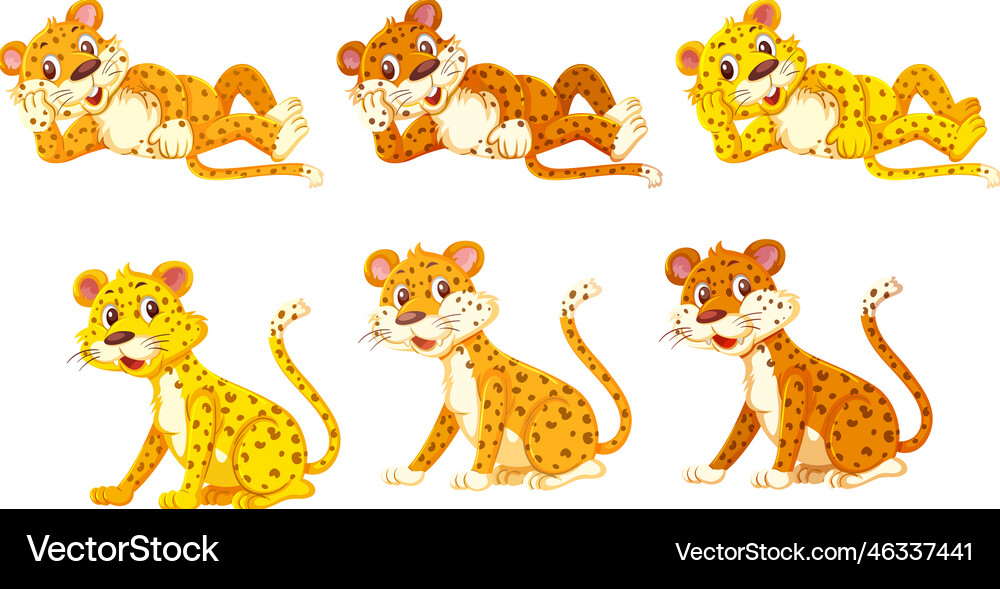 Set of leopard cartoon character in different pose
