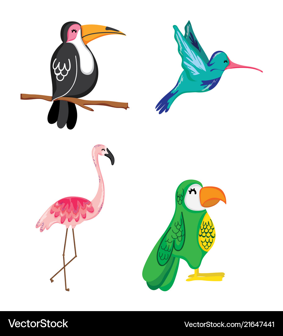 Set of summer exotics birds Royalty Free Vector Image
