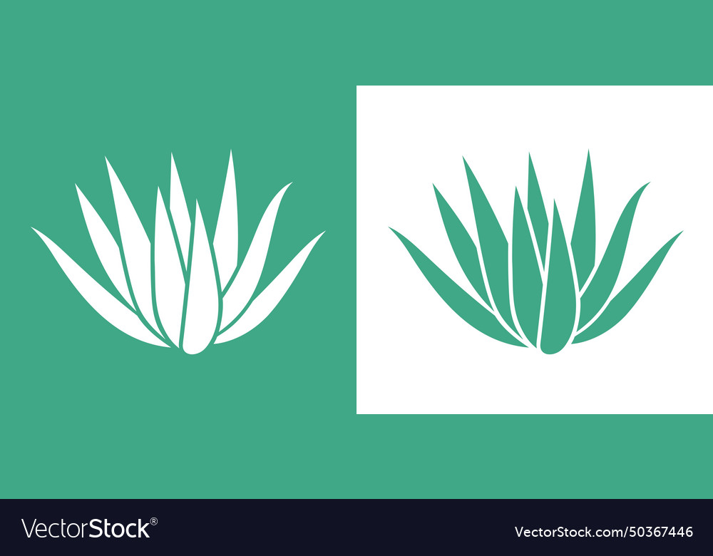 Agave Royalty Free Vector Image - VectorStock