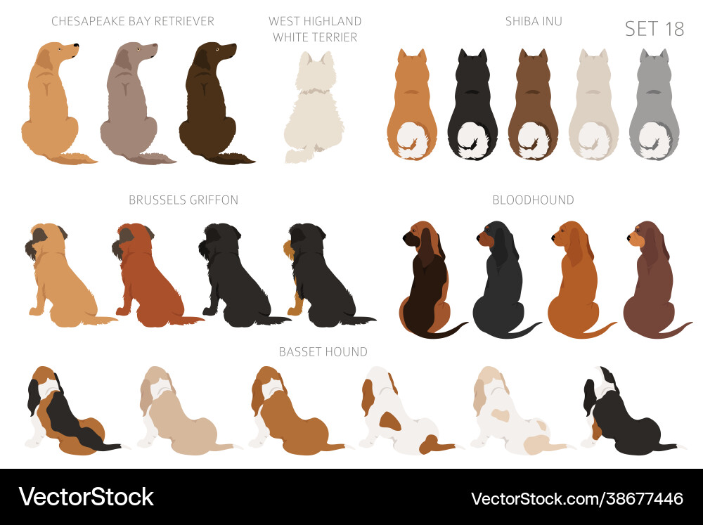 Sitting dogs backside clipart rear view Royalty Free Vector