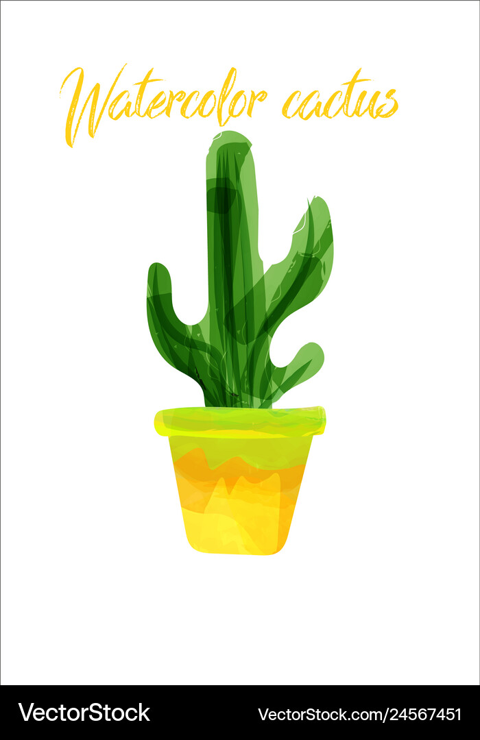 Cactus isolated on white background watercolor Vector Image