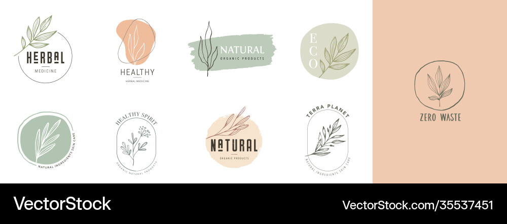 Collection delicate hand drawn logos and icons Vector Image
