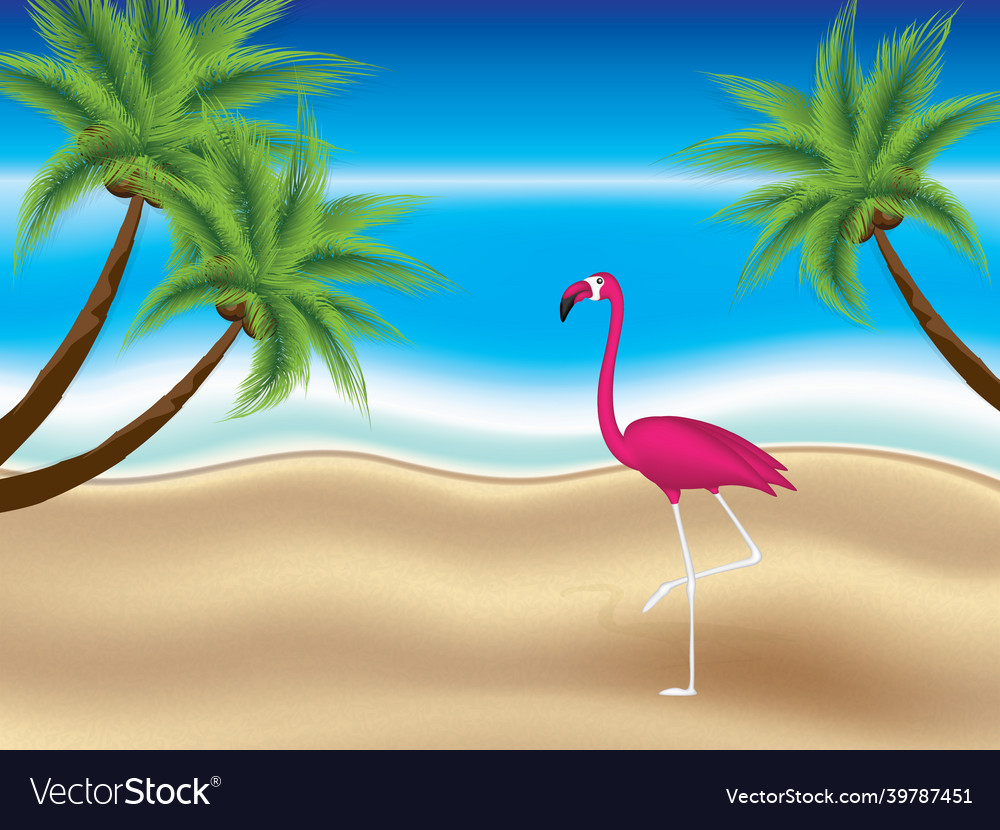 Flamingo Royalty Free Vector Image - VectorStock
