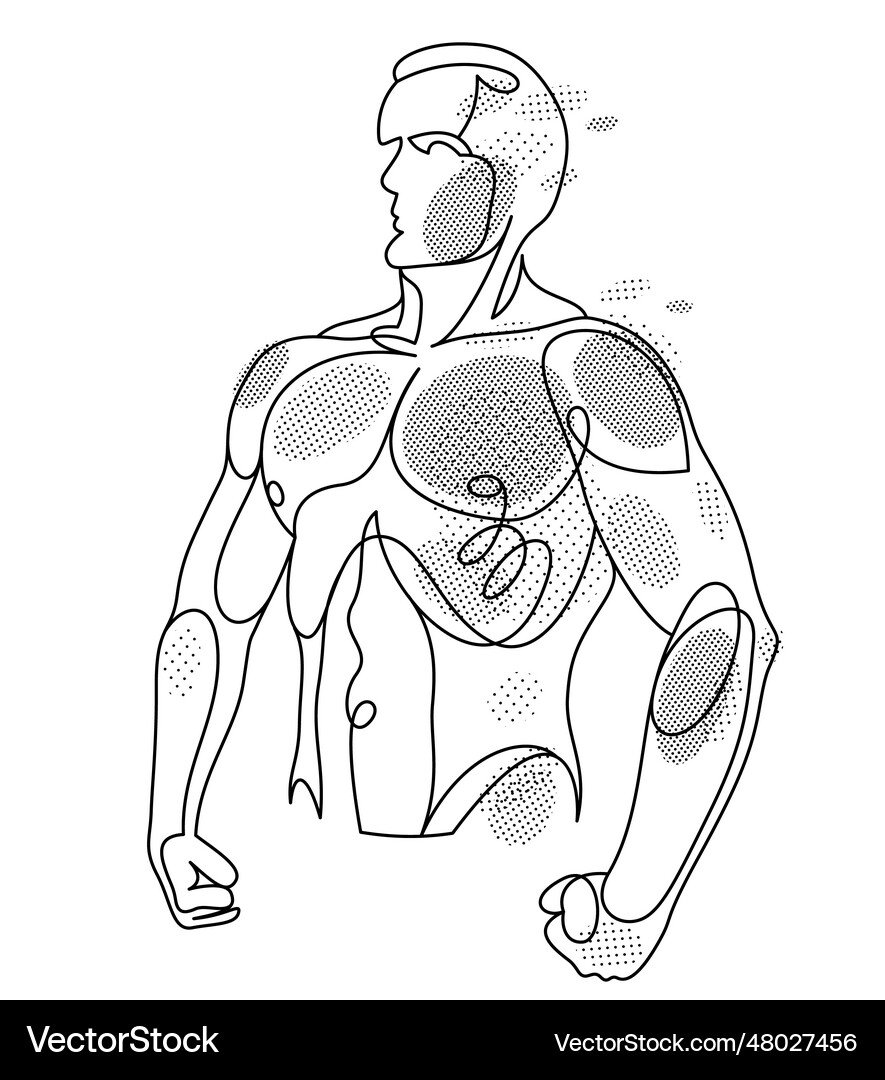 Athletic man torso linear male beauty with Vector Image