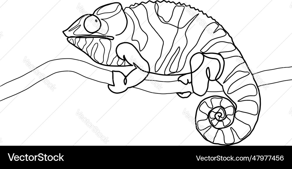 One line art animal drawings Royalty Free Vector Image