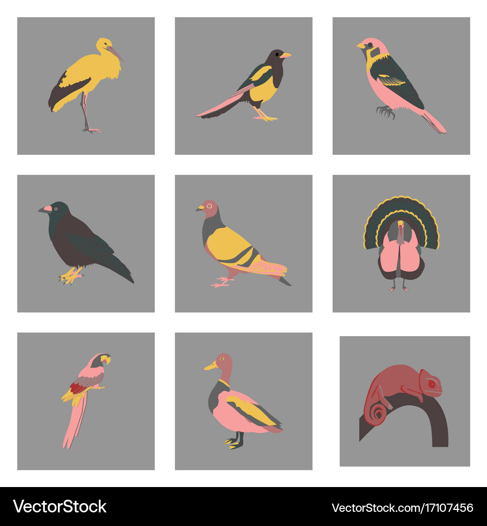 Set of in flat style birds Royalty Free Vector Image