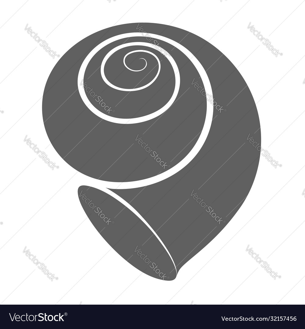 Shell Royalty Free Vector Image - VectorStock