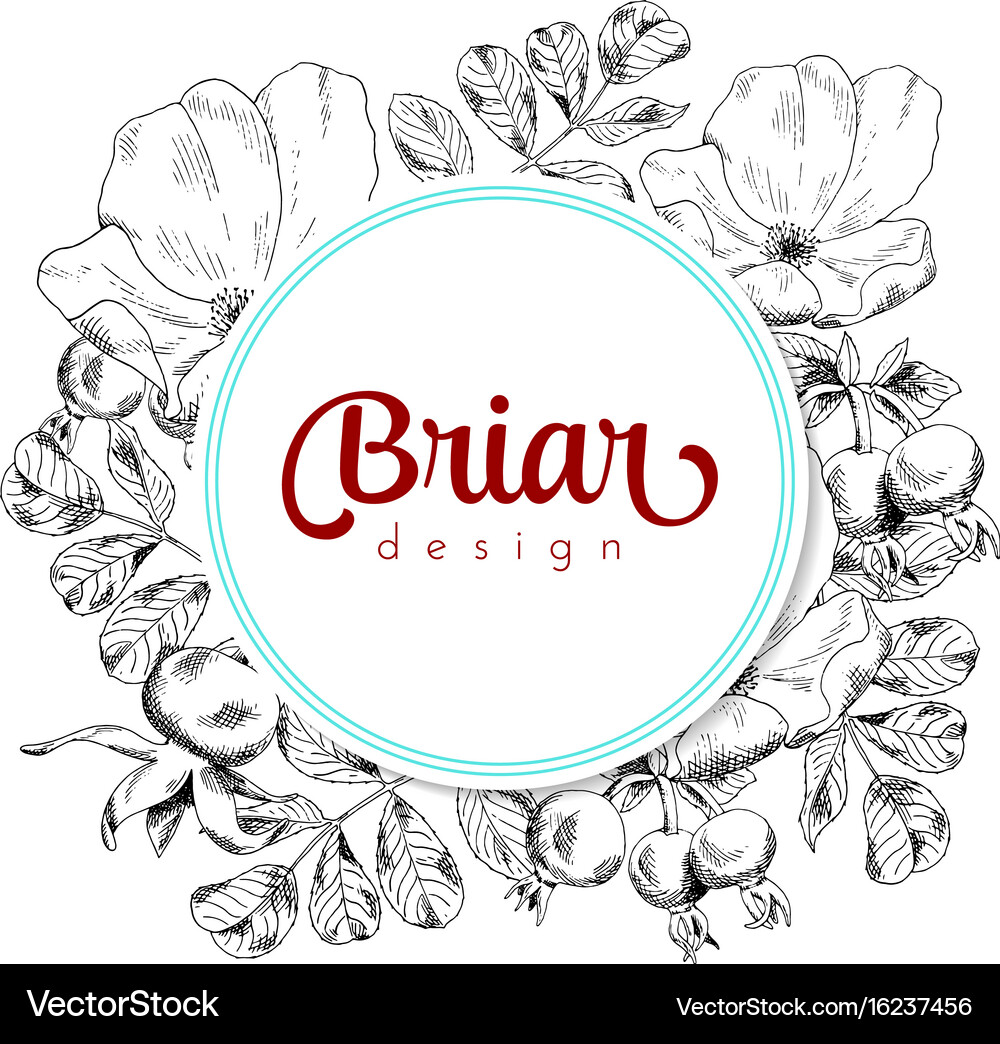 Vintage circle frame briar sketch template Vector Image