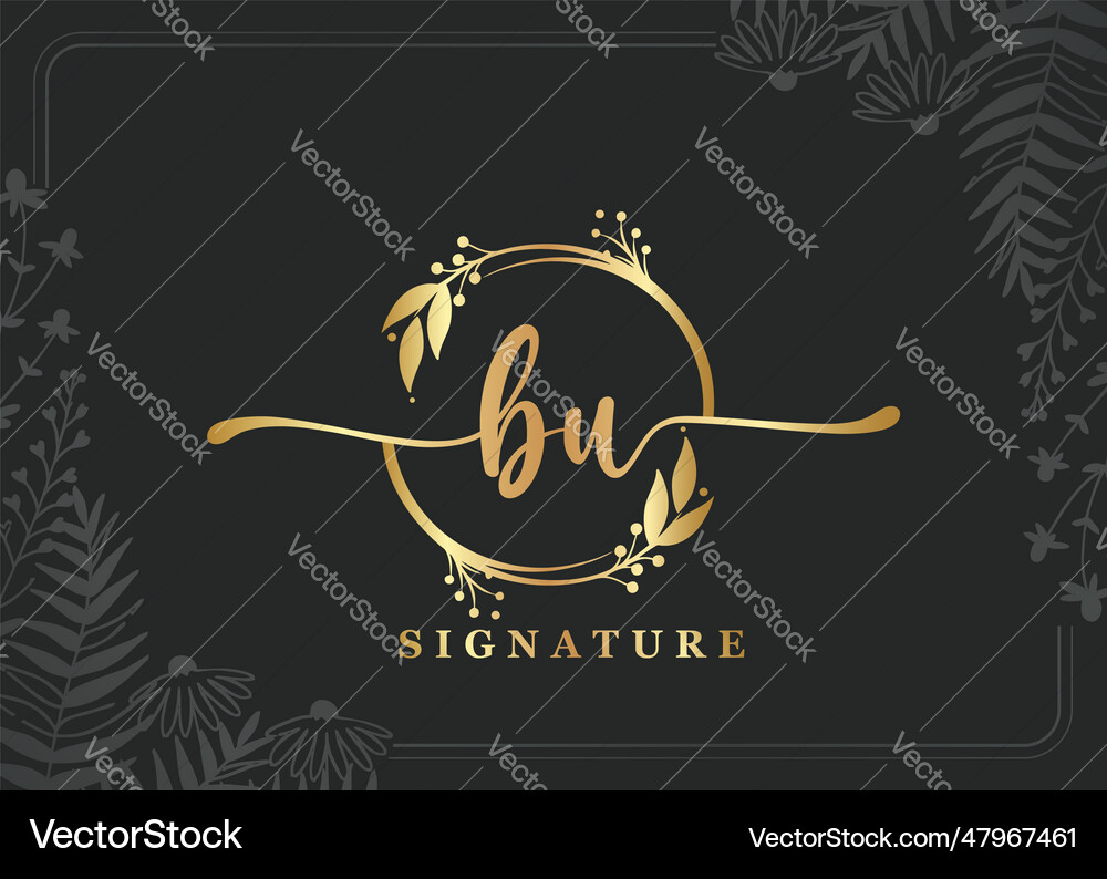 Luxury signature initial bu logo design isolated Vector Image