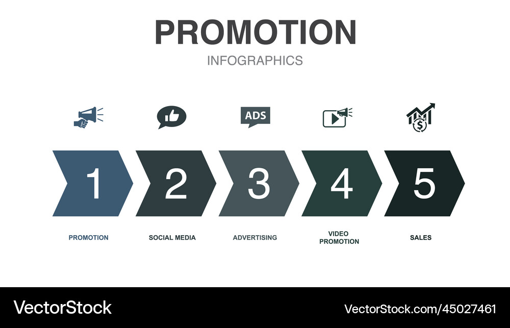 Promotion icons infographic design template Vector Image