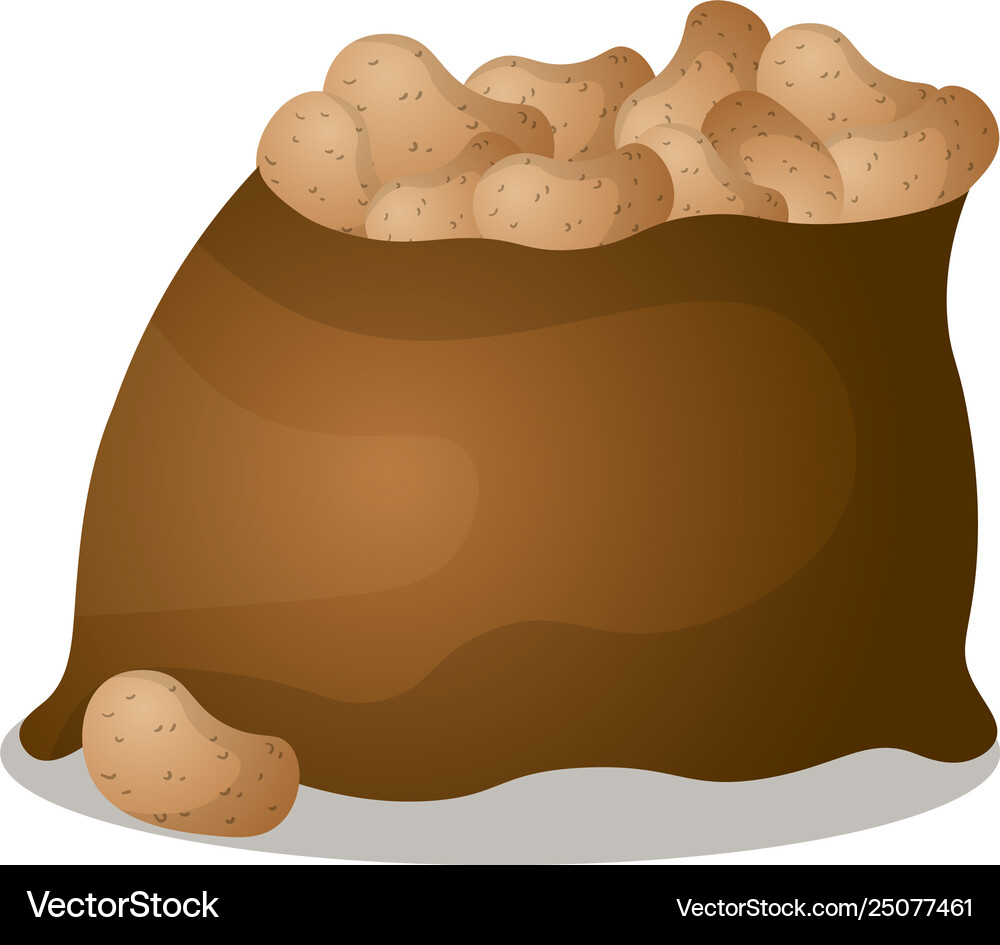 Textile brown sack fresh eco natural potato Vector Image