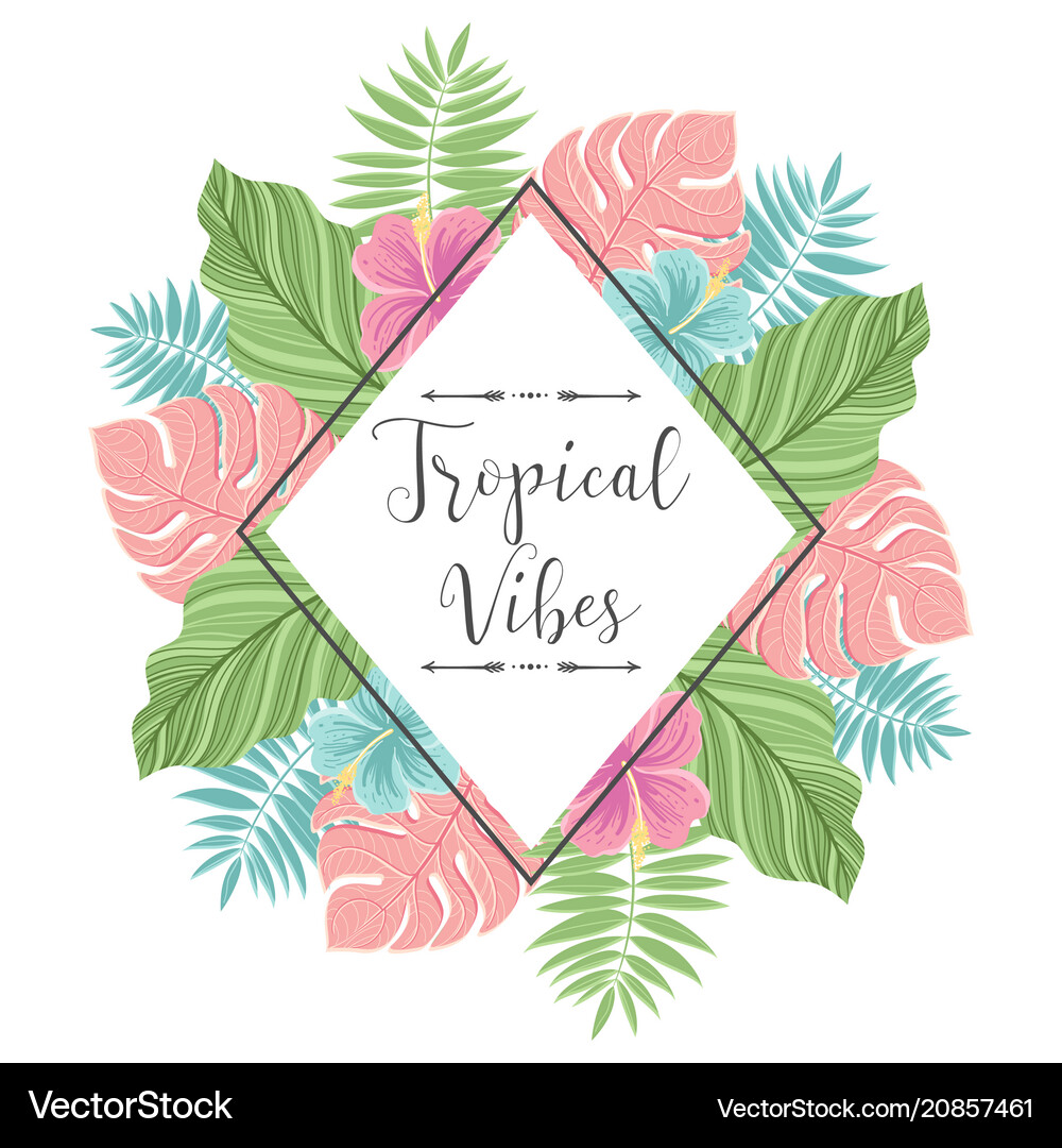 Tropical label with palm leaves perfect for Vector Image
