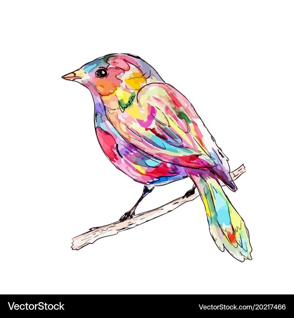 A bird on branch watercolor Royalty Free Vector Image