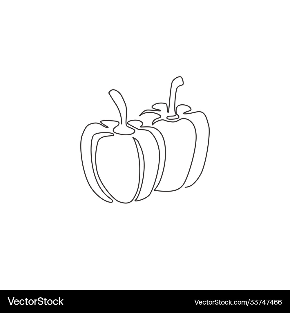 One single line drawing whole healthy organic Vector Image