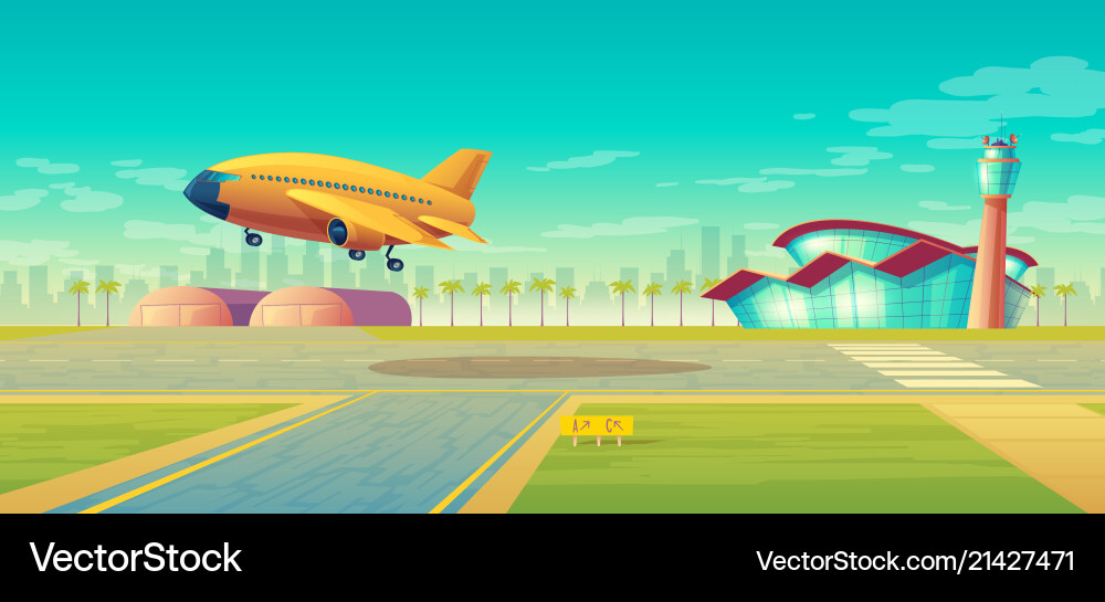 Landing strip for airplanes plane takeoff Vector Image