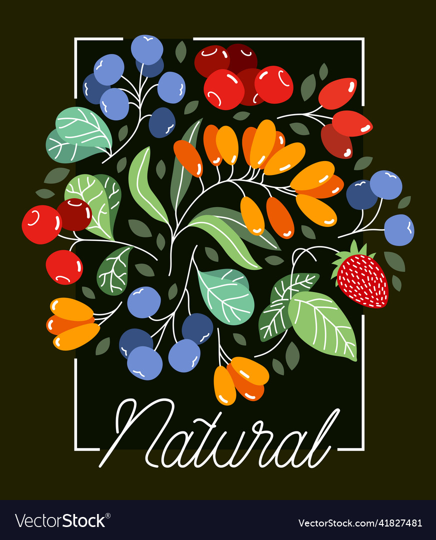 Wild berries fresh and ripe tasty healthy food Vector Image