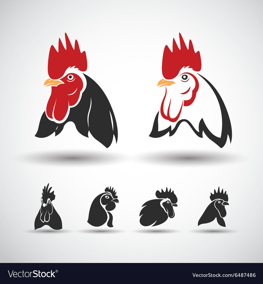 Chicken head4 Royalty Free Vector Image - VectorStock